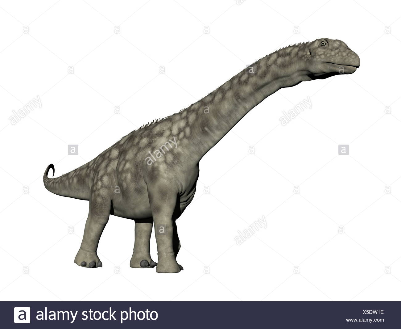 Argentinosaurus Stock Photos & Argentinosaurus Stock Images - Alamy
