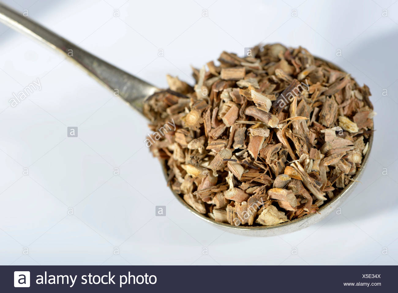 American Sarsaparilla High Resolution Stock Photography and Images - Alamy