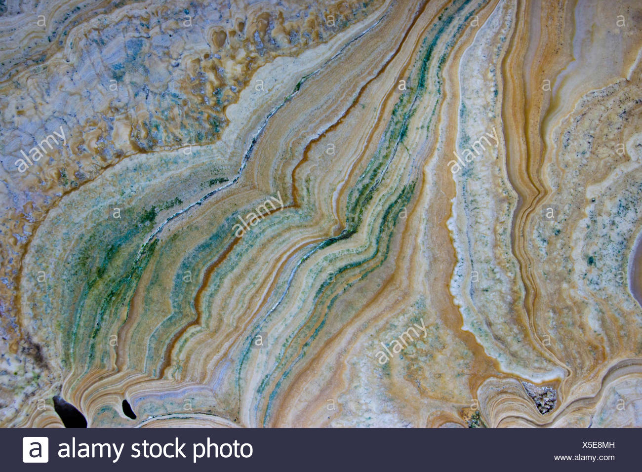 Dripstone Caverns High Resolution Stock Photography and Images - Alamy