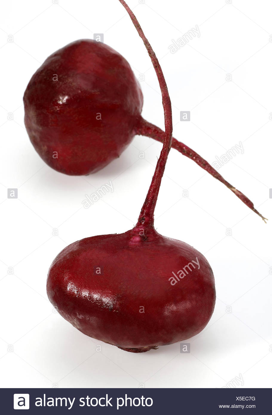 Beta Vulgaris Var Conditiva High Resolution Stock Photography and ...