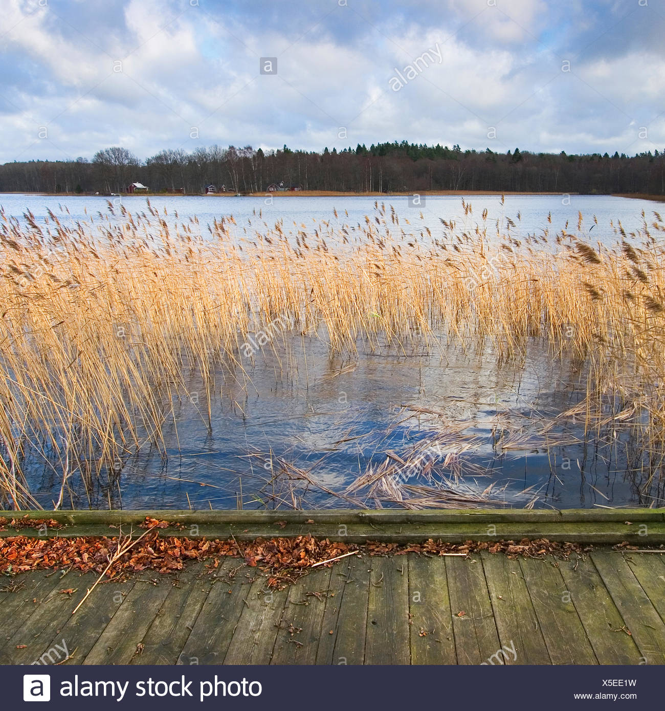 Floda High Resolution Stock Photography and Images - Alamy