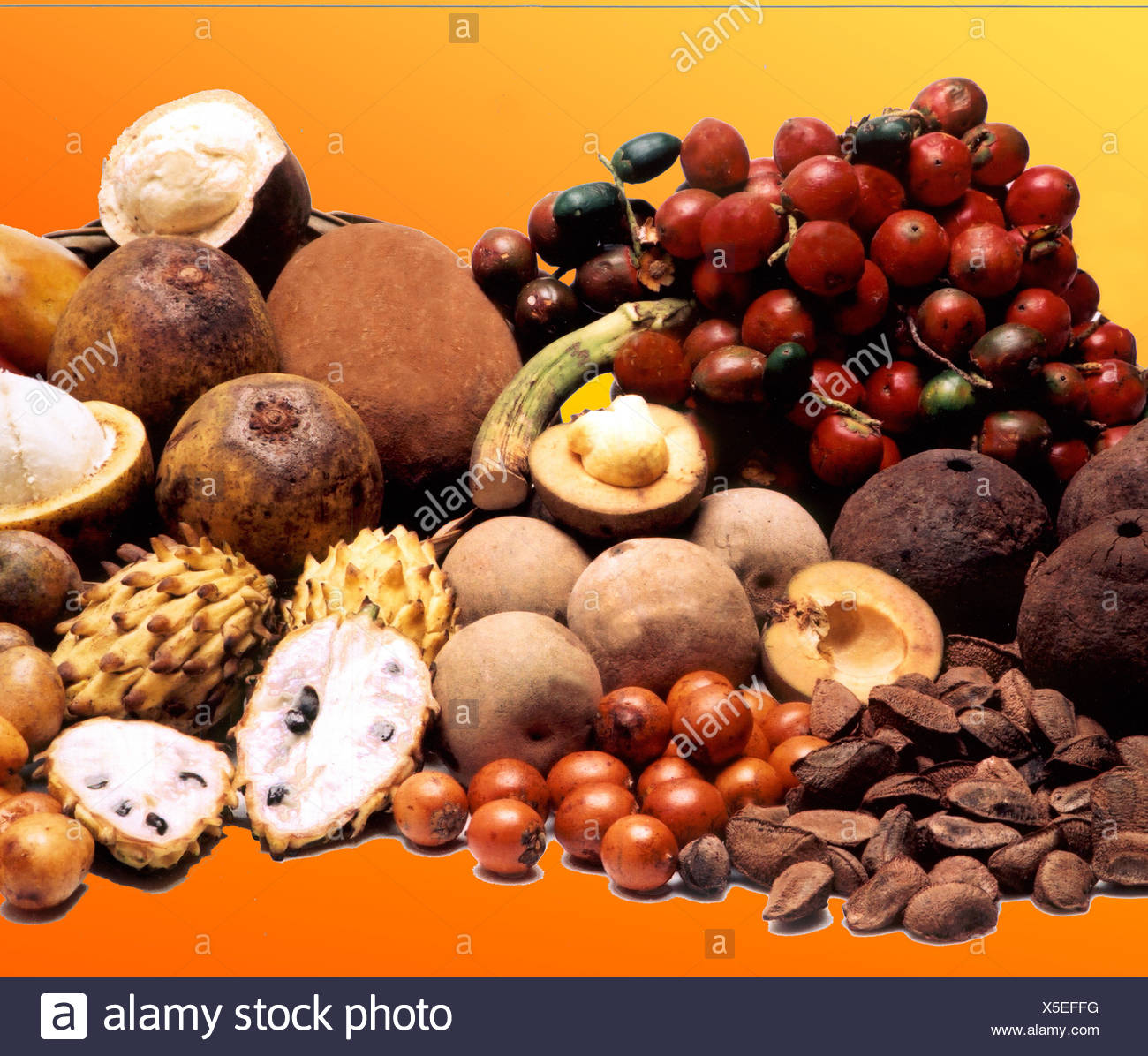 Guarana Fruit Stock Photos & Guarana Fruit Stock Images - Alamy