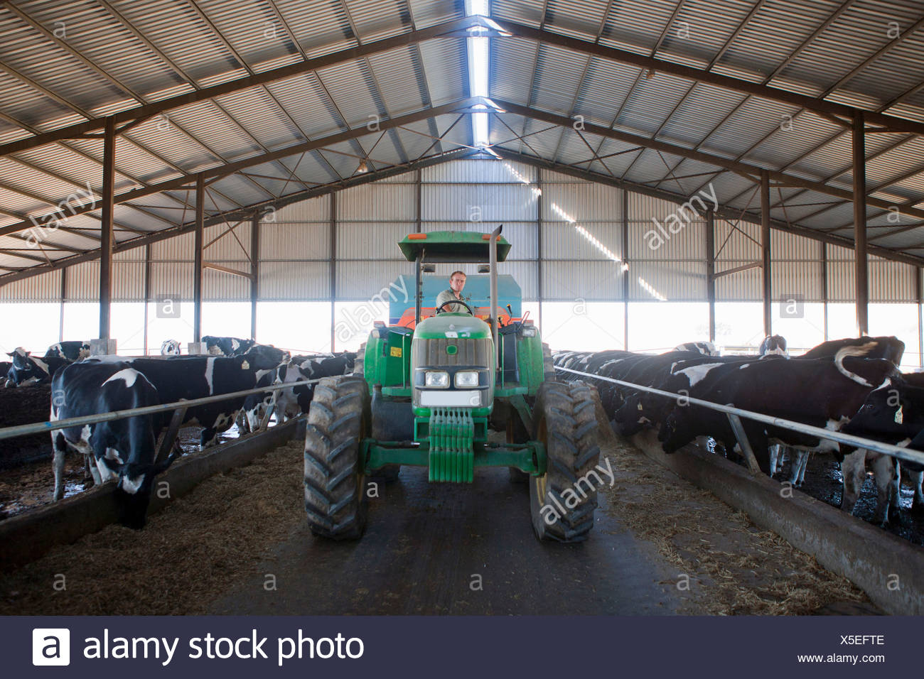 Cattle Industry High Resolution Stock Photography and Images - Alamy