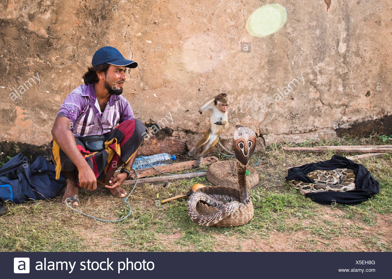 Snakes Sri Lanka High Resolution Stock Photography and Images - Alamy