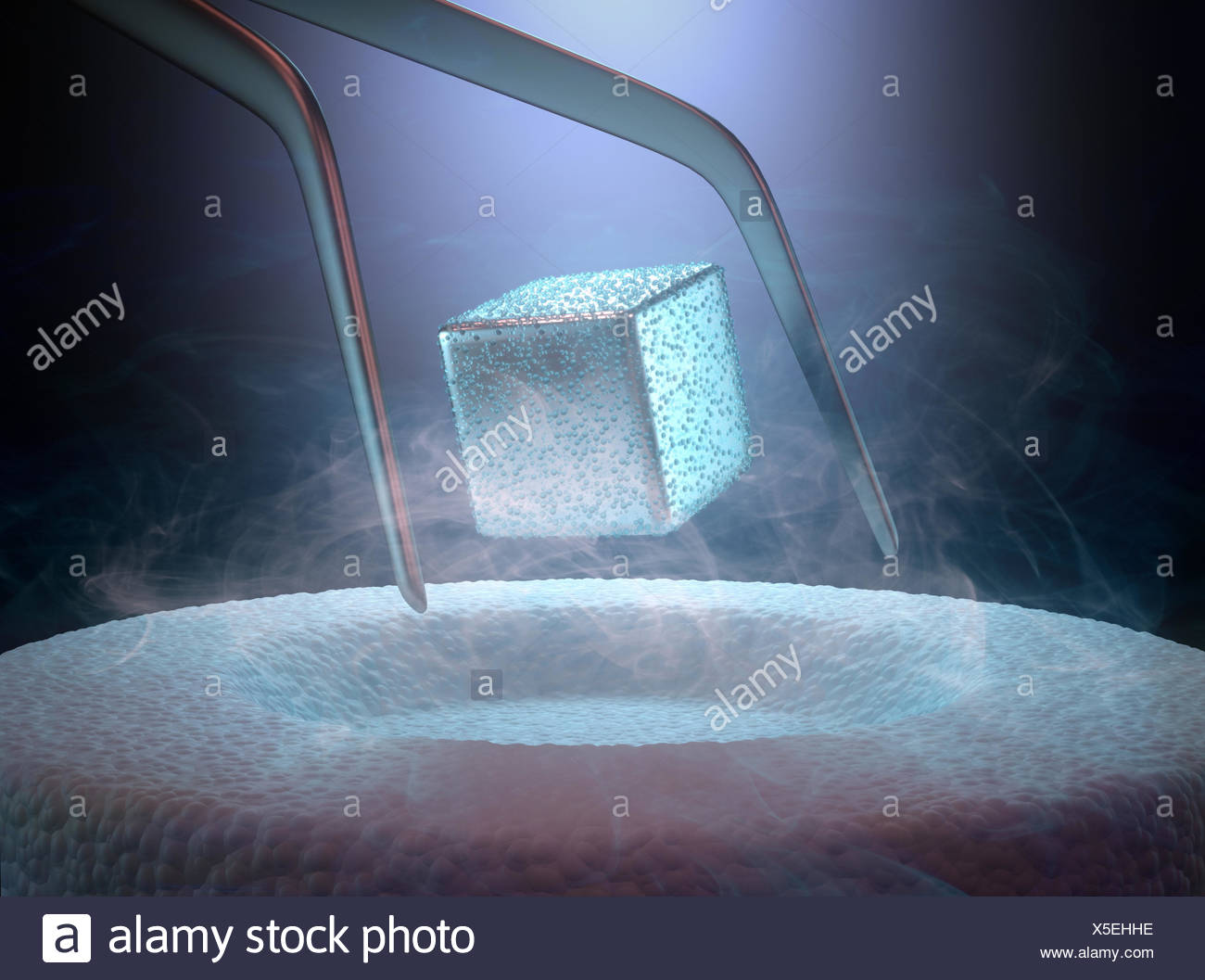 Superconductivity Stock Photos & Superconductivity Stock Images - Alamy