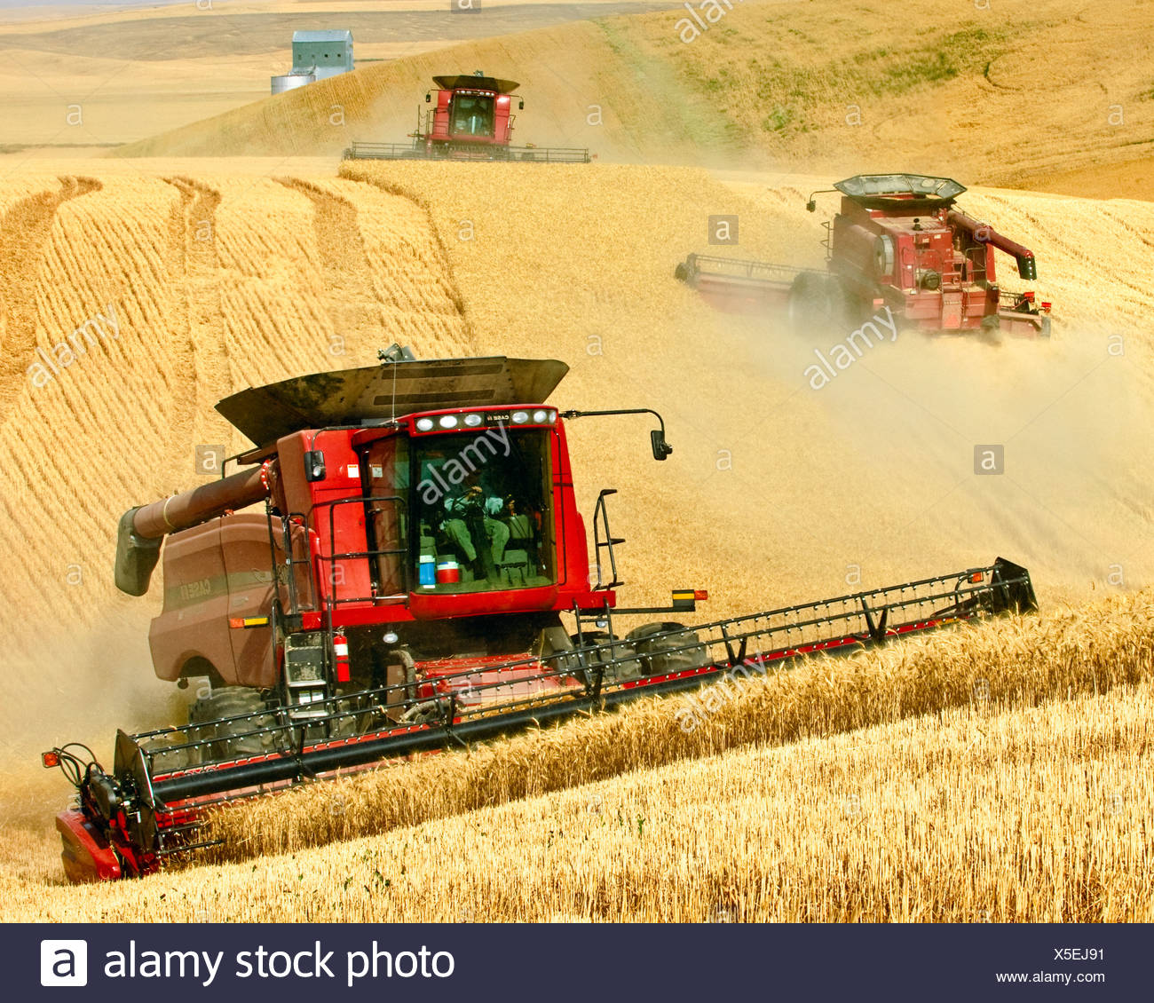Case Ih Combine High Resolution Stock Photography and Images - Alamy