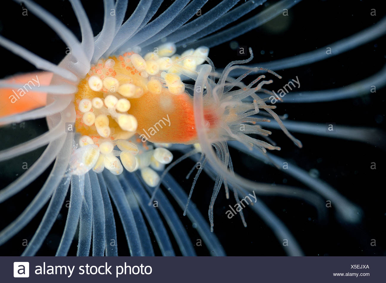 National Park Oosterschelde High Resolution Stock Photography and ...