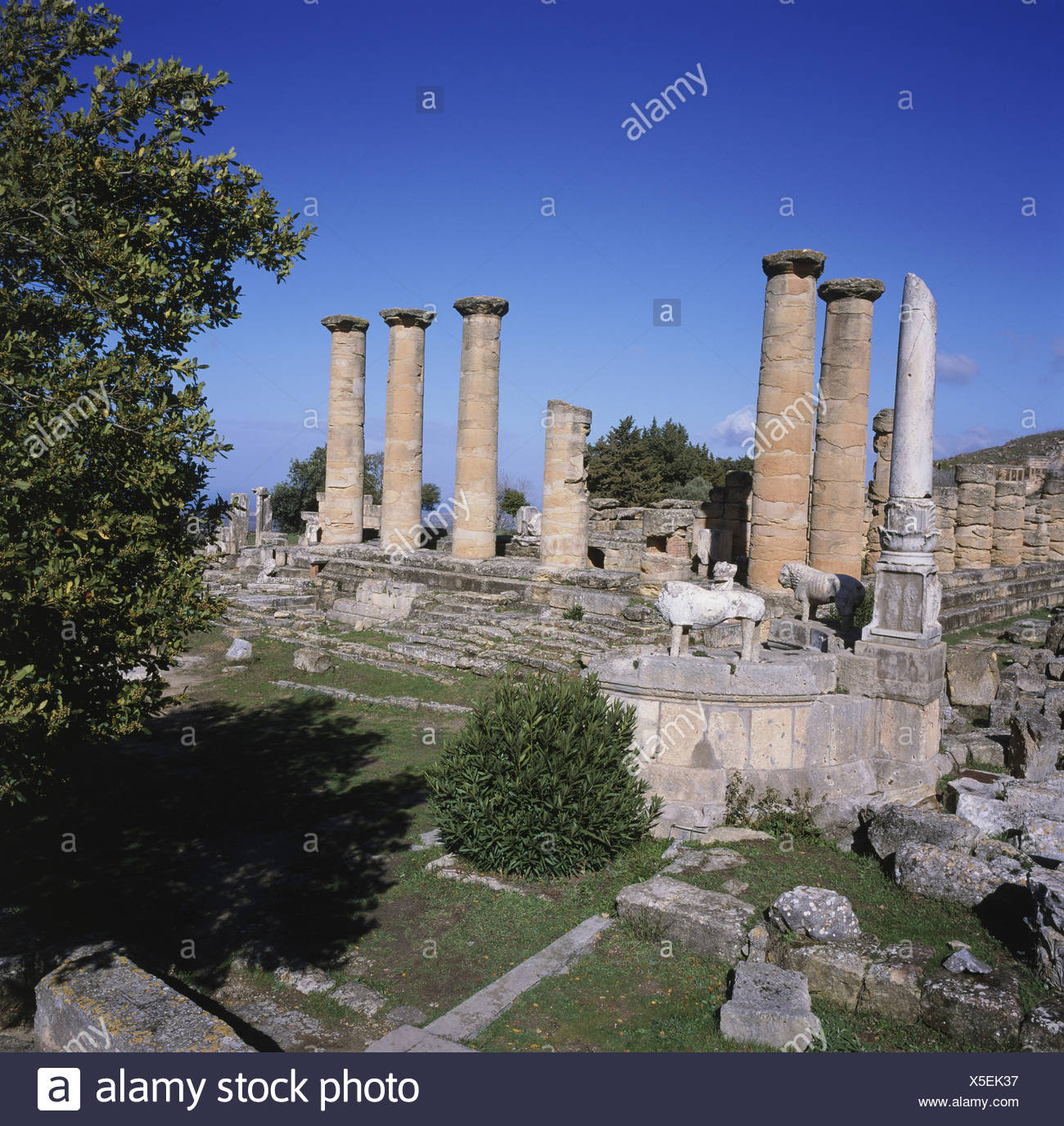 Cyrene Stock Photos & Cyrene Stock Images - Alamy