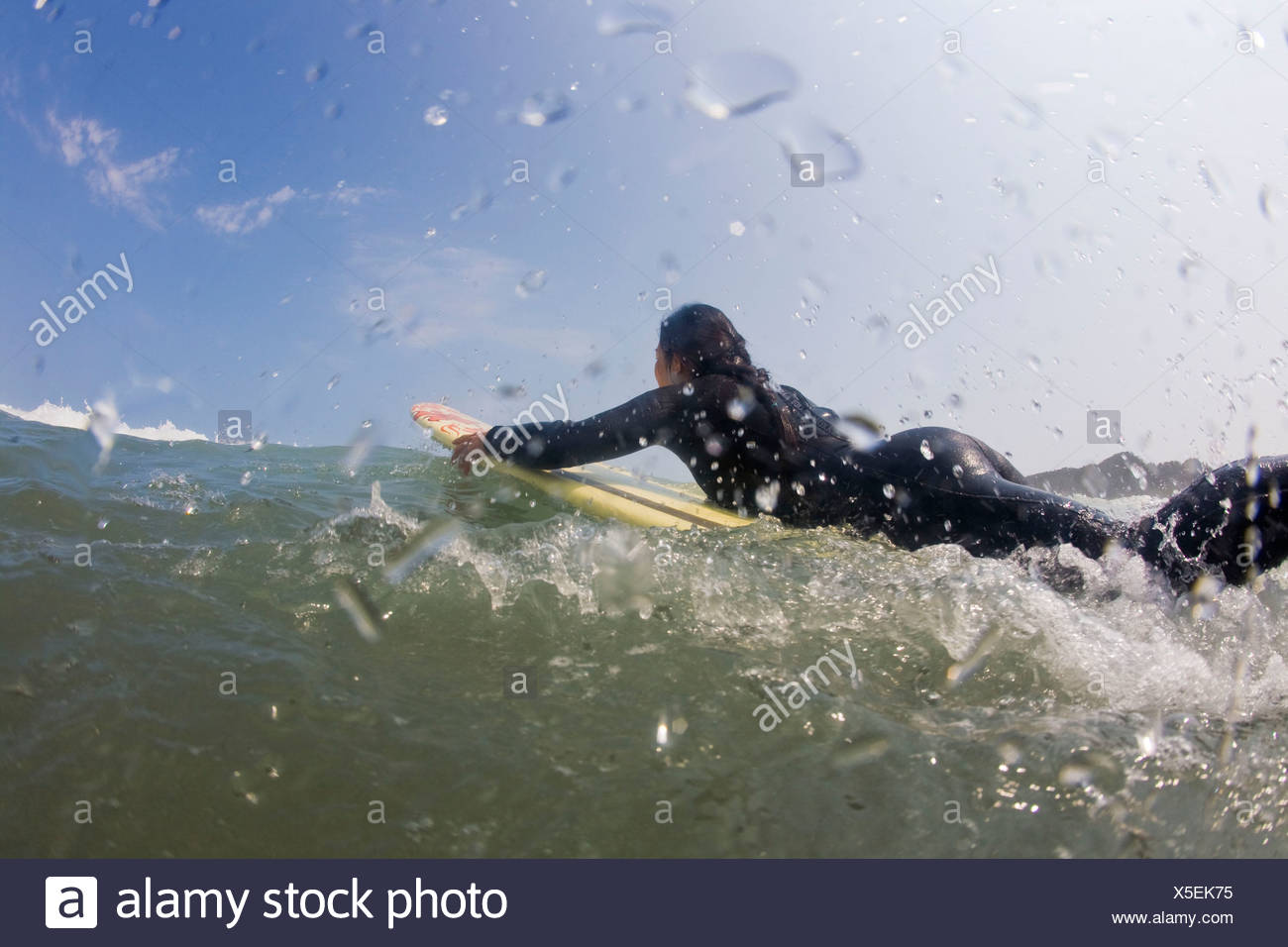 Surfer Paddling High Resolution Stock Photography and Images - Alamy