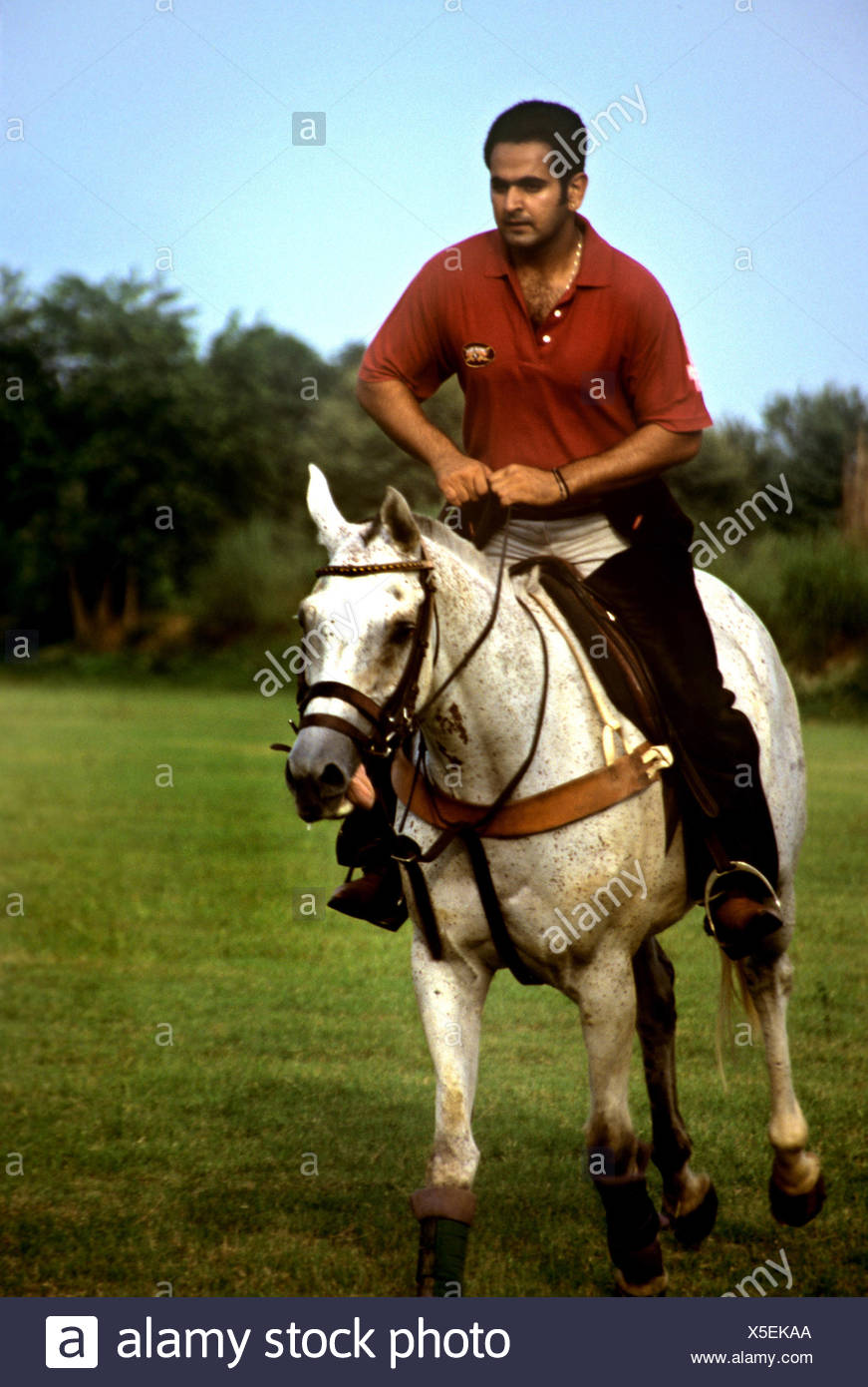 Horse And Rider High Resolution Stock Photography and Images - Alamy
