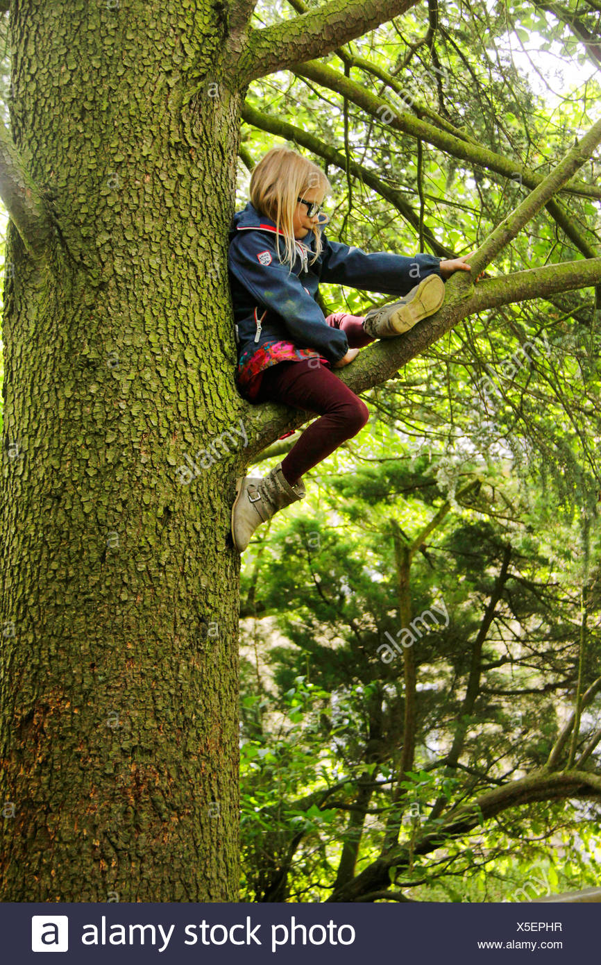 Girl Sitting On Branch Of Tree High Resolution Stock Photography and ...
