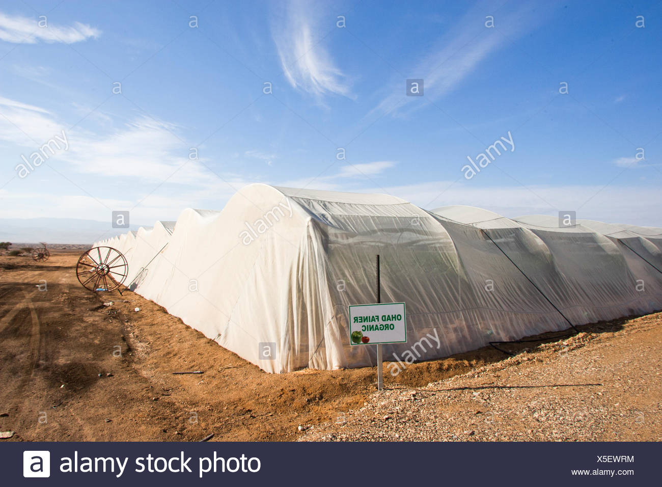 Israel Agriculture High Resolution Stock Photography and Images - Alamy