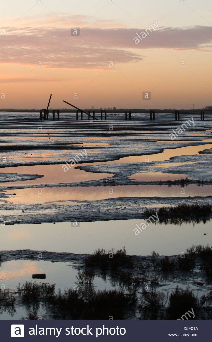 Wash Norfolk Snettisham High Resolution Stock Photography and Images ...