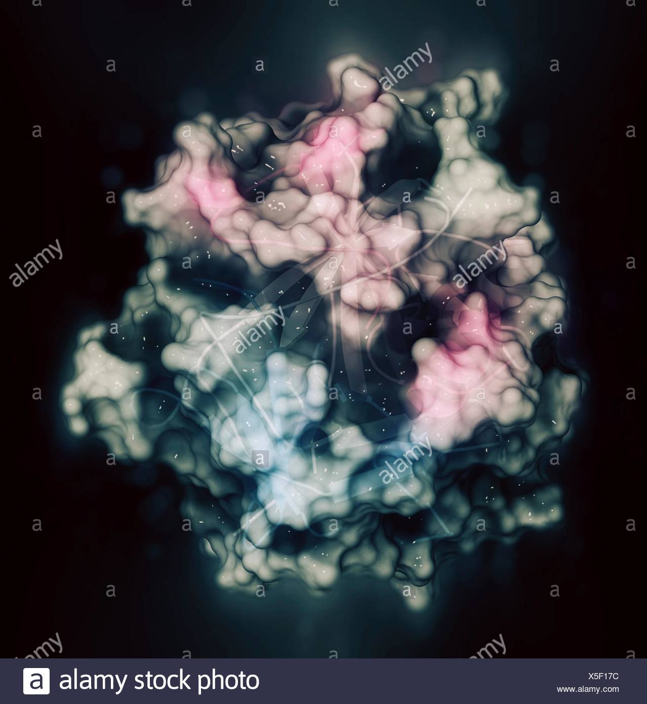 Blood Coagulation Cascade High Resolution Stock Photography and Images ...