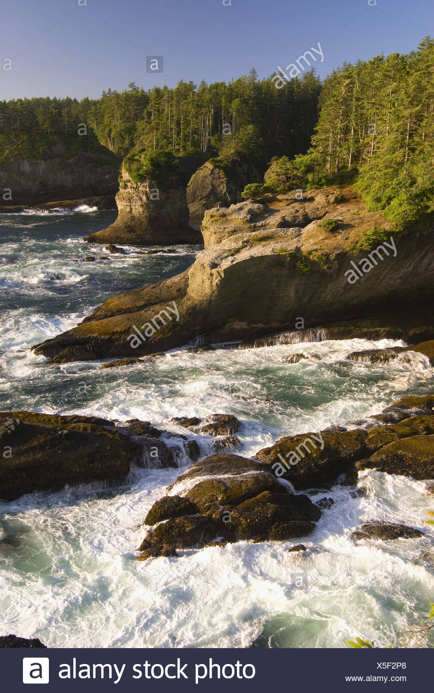 Makah Indian Reservation High Resolution Stock Photography and Images ...