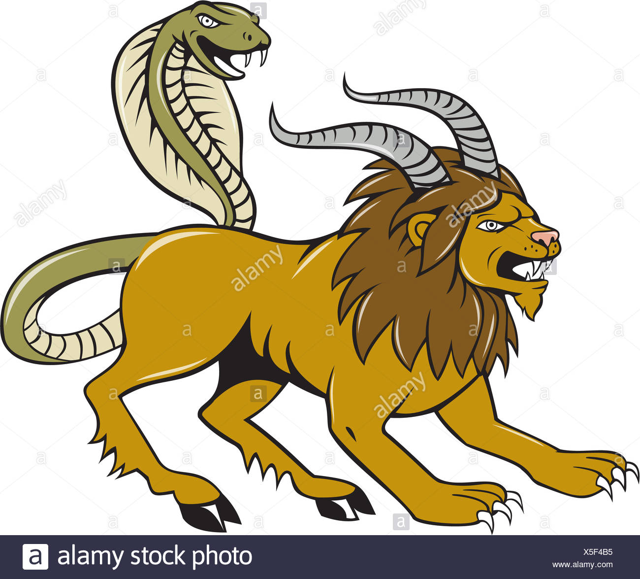 Attacking Snake High Resolution Stock Photography and Images - Alamy