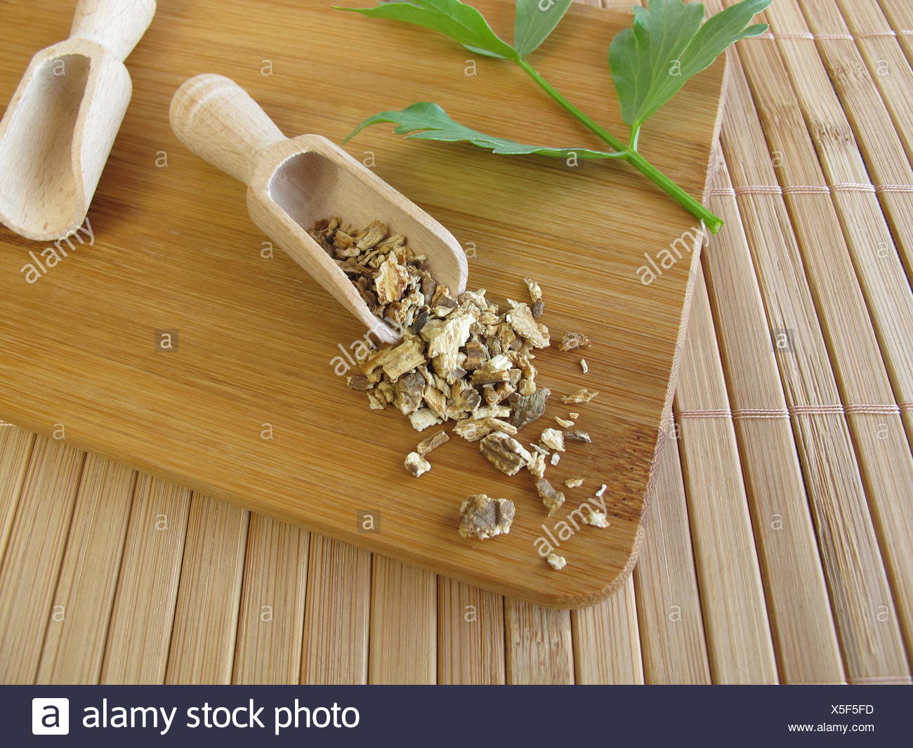 Radix Root High Resolution Stock Photography and Images - Alamy