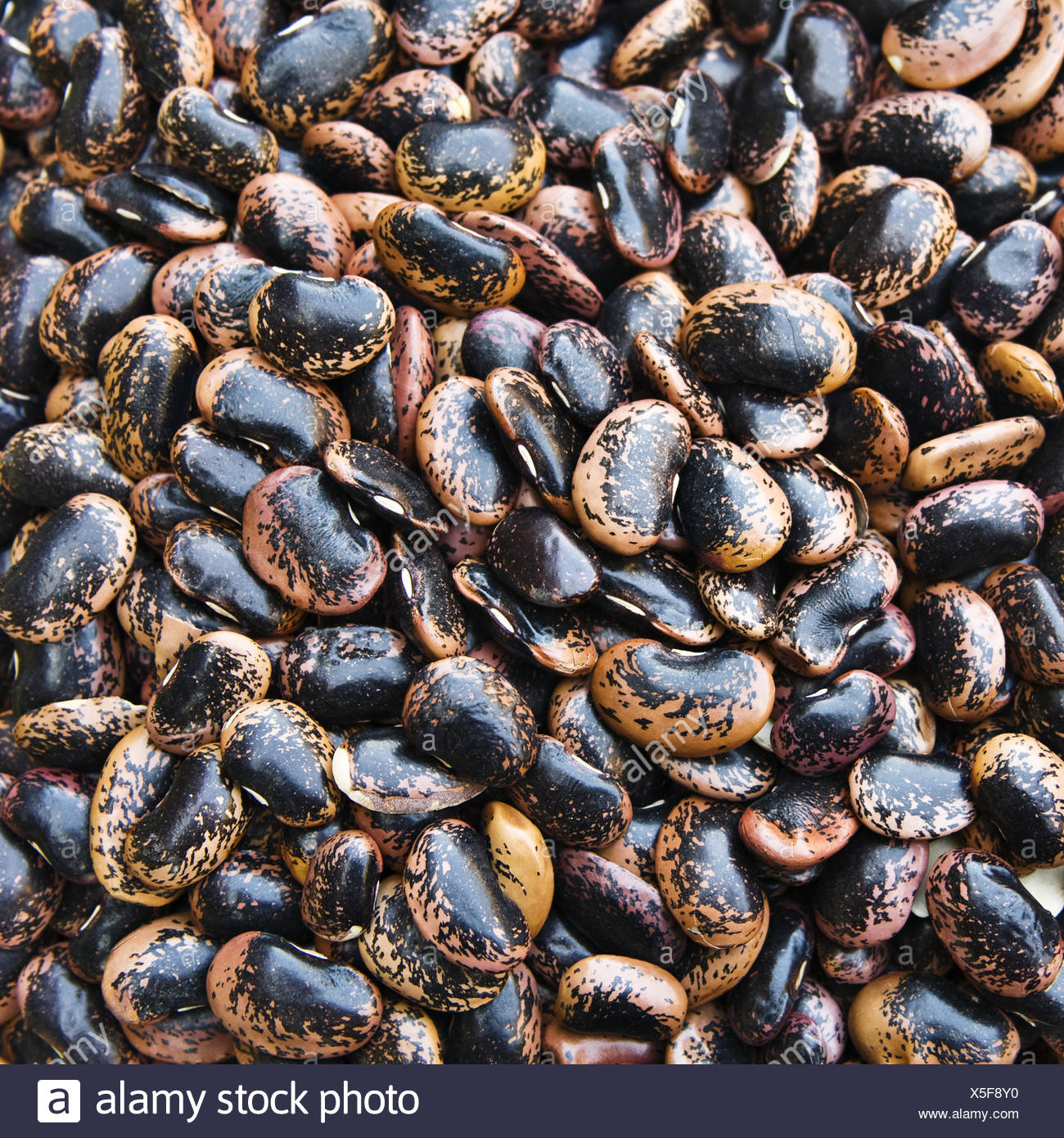 Fire Beans High Resolution Stock Photography and Images - Alamy