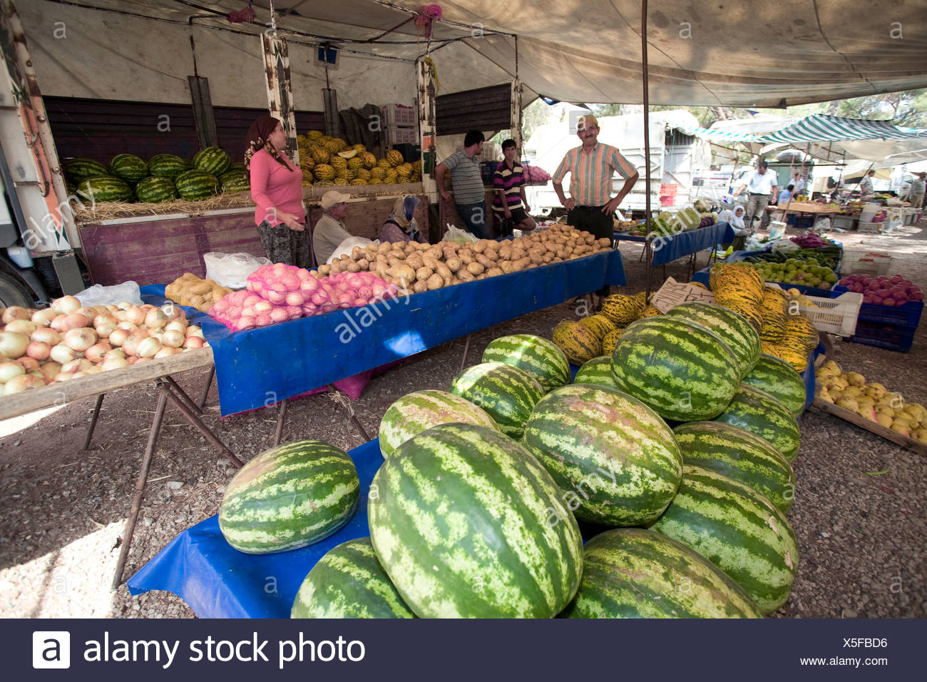 Giant Melon High Resolution Stock Photography and Images - Alamy