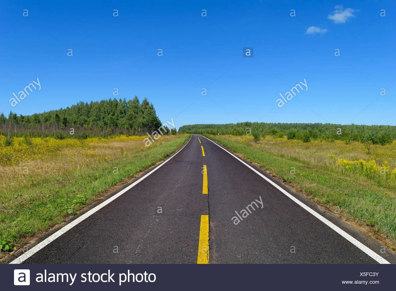 Yellow Dotted Line Stock Photos & Yellow Dotted Line Stock Images - Alamy