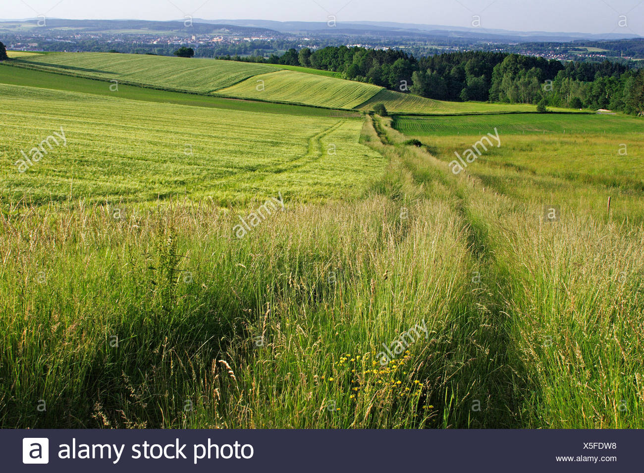 Country Life Stock Photos & Country Life Stock Images - Alamy