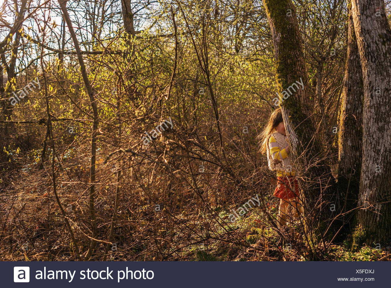 Person Hiding Behind A Tree High Resolution Stock Photography and ...