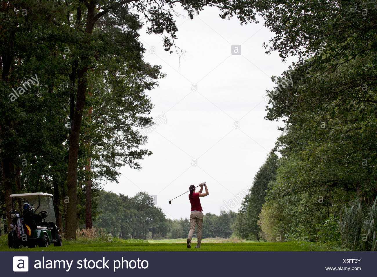 A Female Golfer Teeing Off Stock Photos & A Female Golfer Teeing Off ...