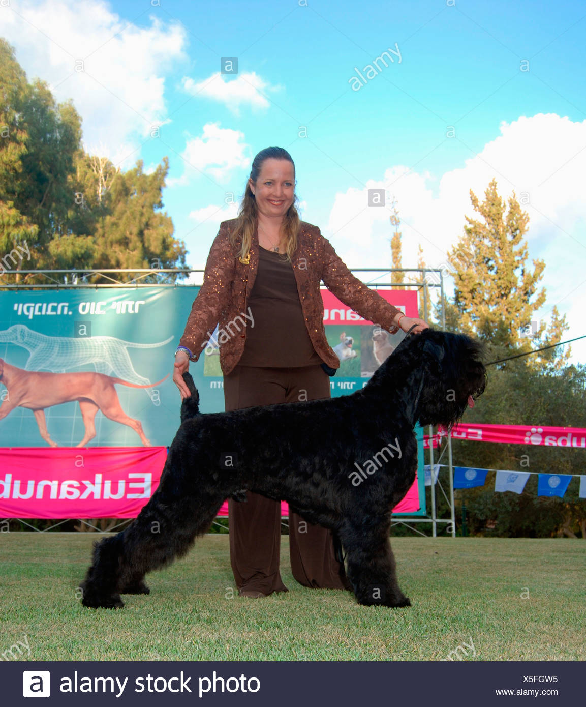 Russian Dog Show High Resolution Stock Photography and Images - Alamy