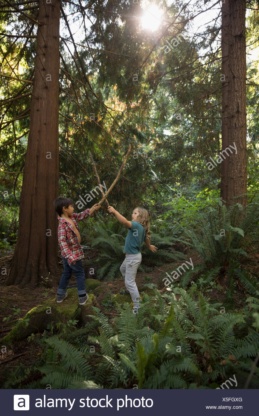 Girl Fighting Stock Photos & Girl Fighting Stock Images - Alamy
