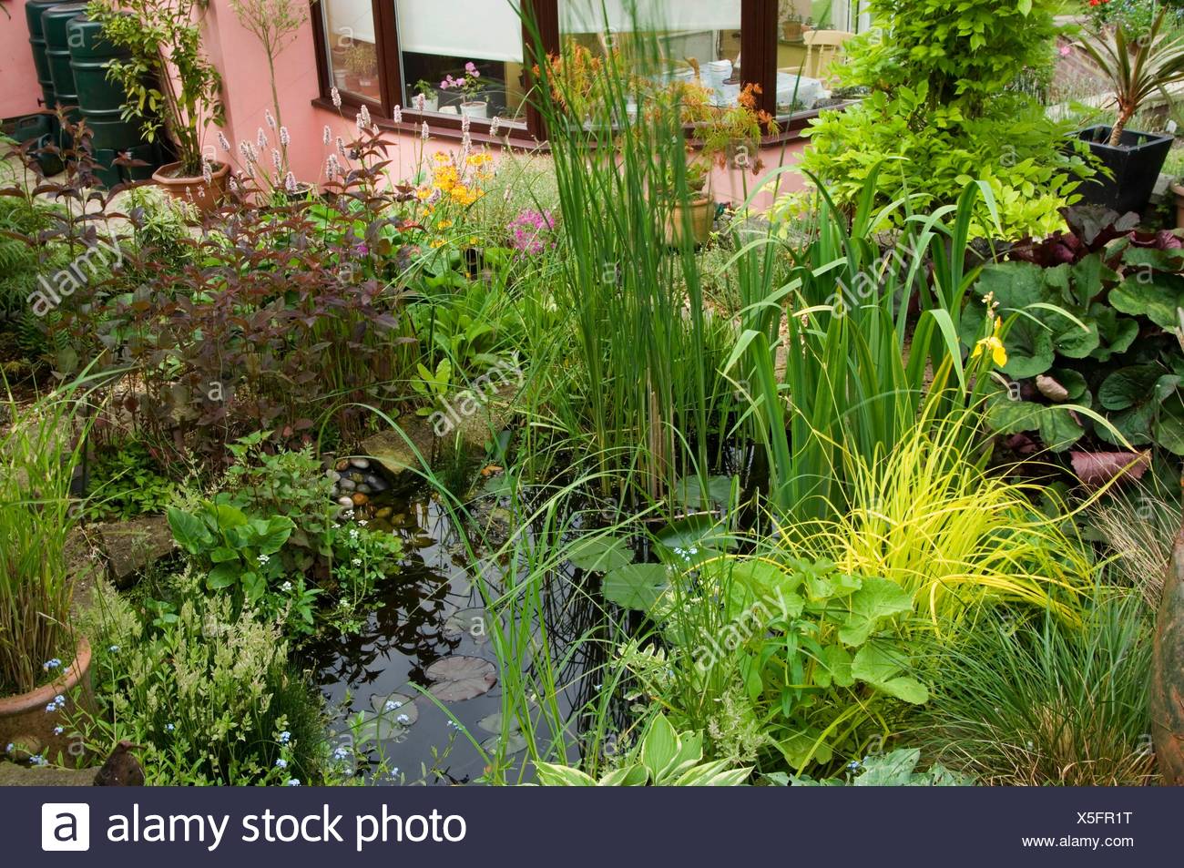 Marginal Planting High Resolution Stock Photography and Images - Alamy