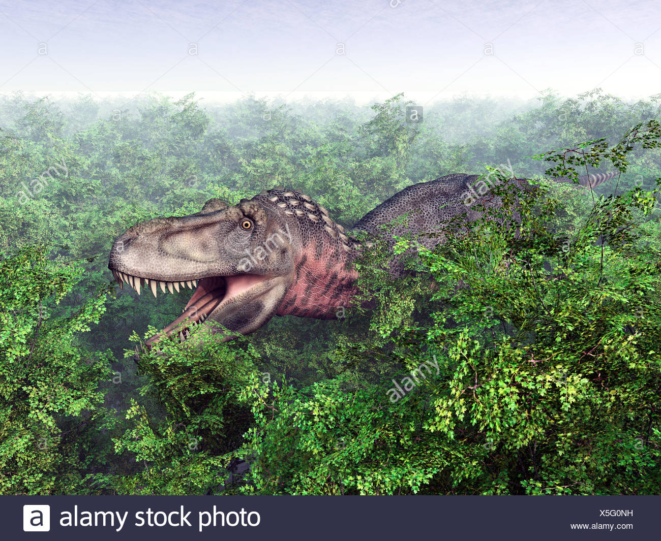 Tarbosaurus High Resolution Stock Photography and Images - Alamy