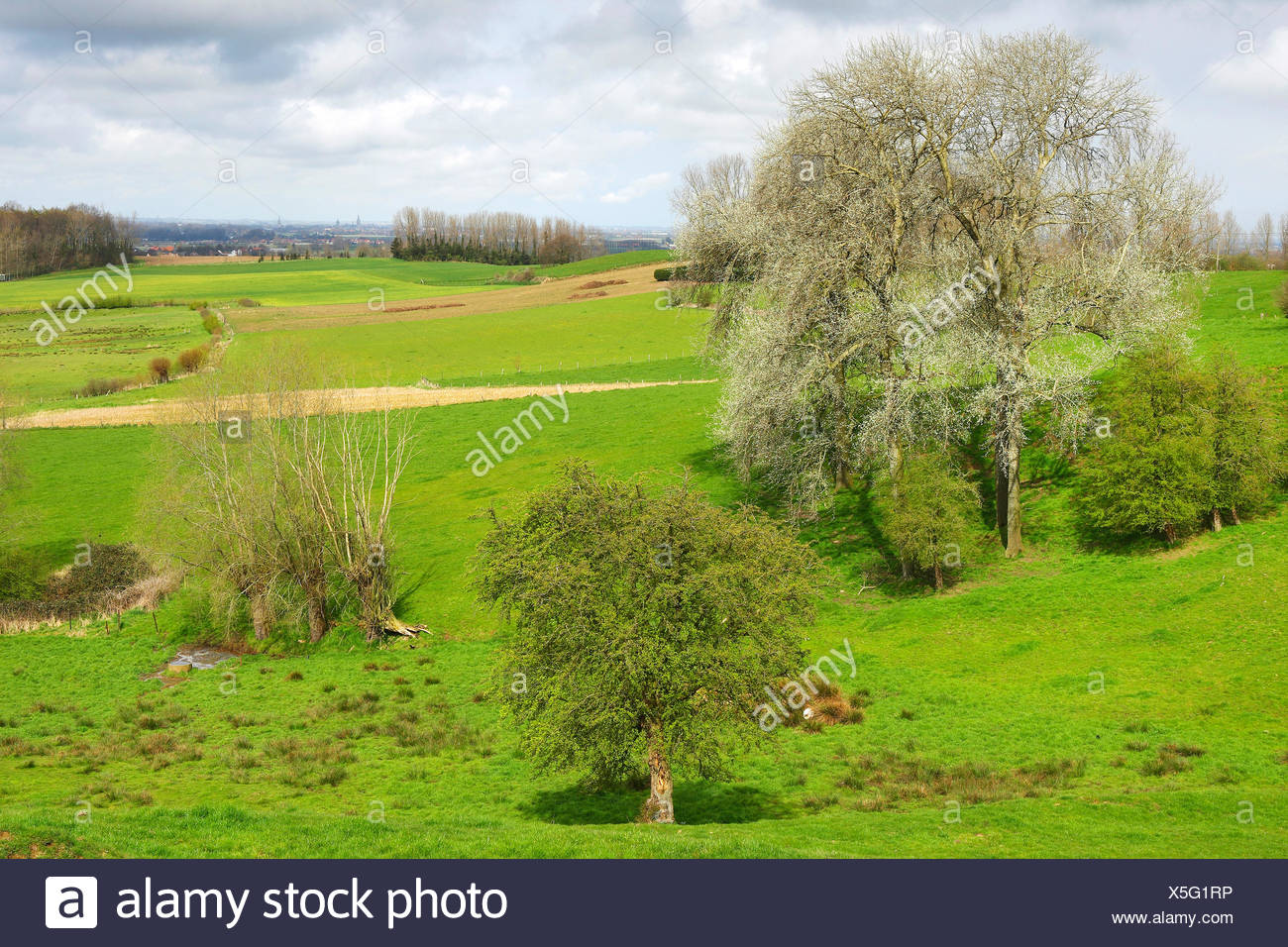 Hedges Bocage High Resolution Stock Photography and Images - Alamy