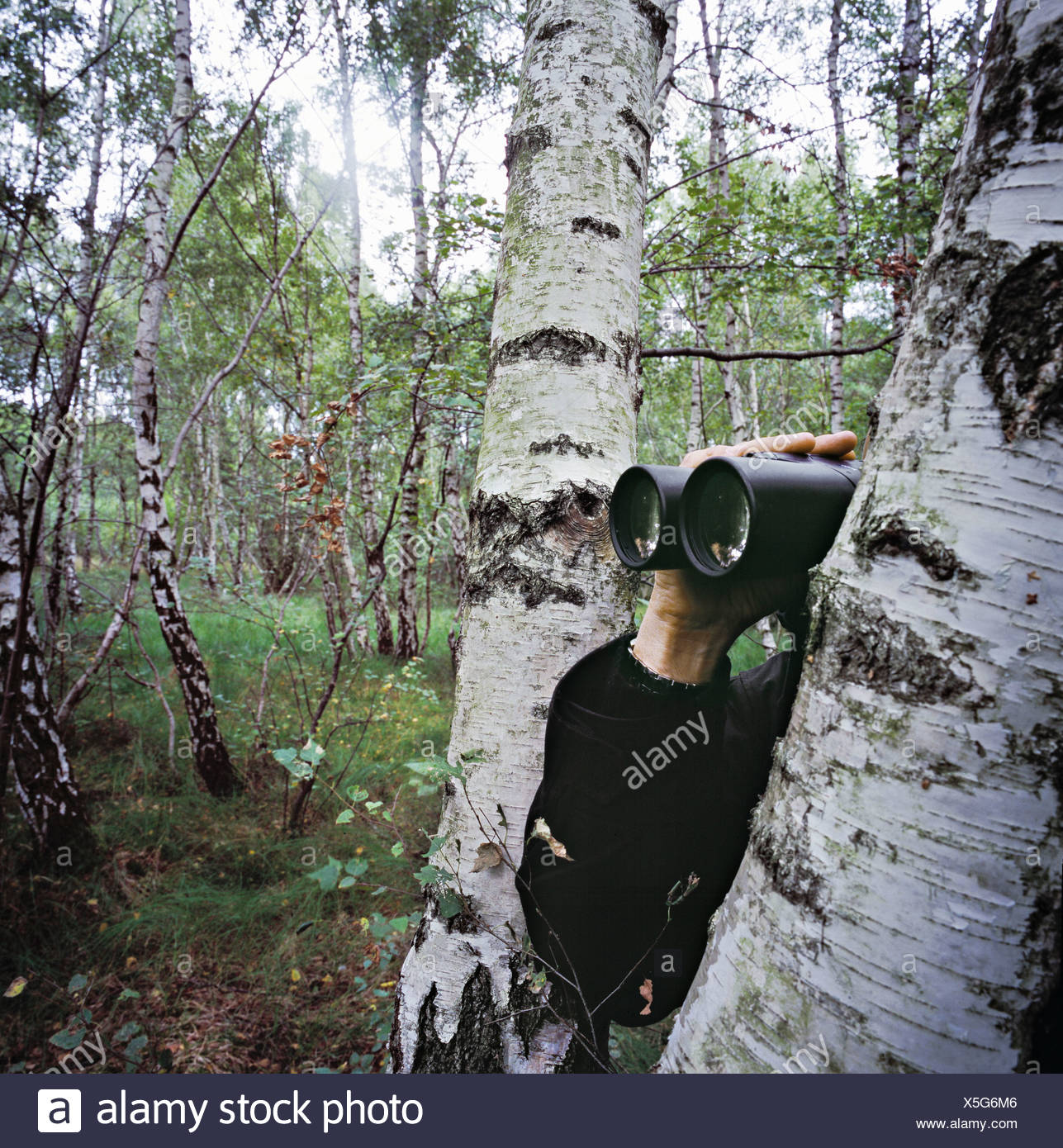 Man Peeking Behind Tree High Resolution Stock Photography and Images ...