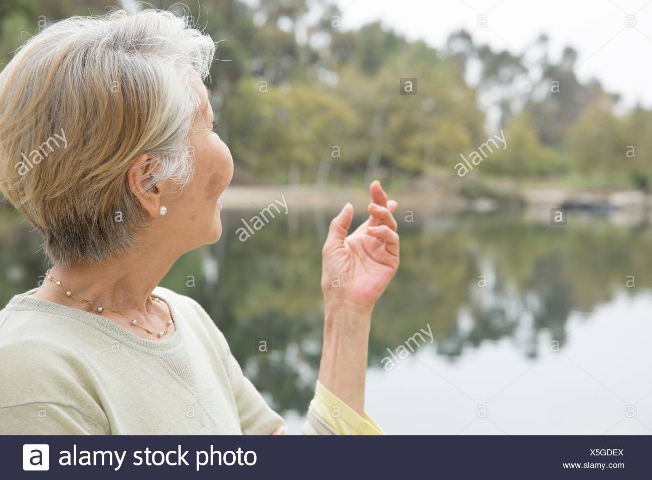 Old Woman And Rear View Stock Photos & Old Woman And Rear View Stock ...