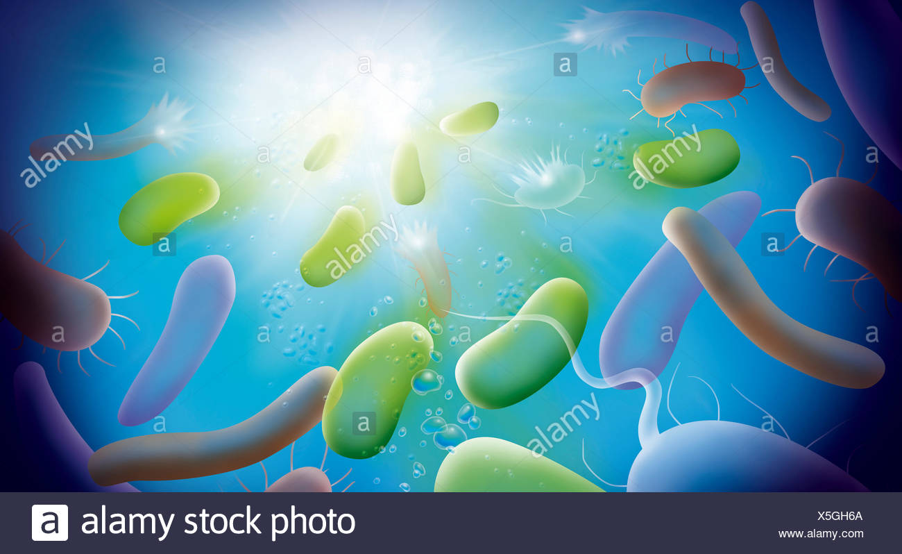 Evolution Stock Photos & Evolution Stock Images - Alamy