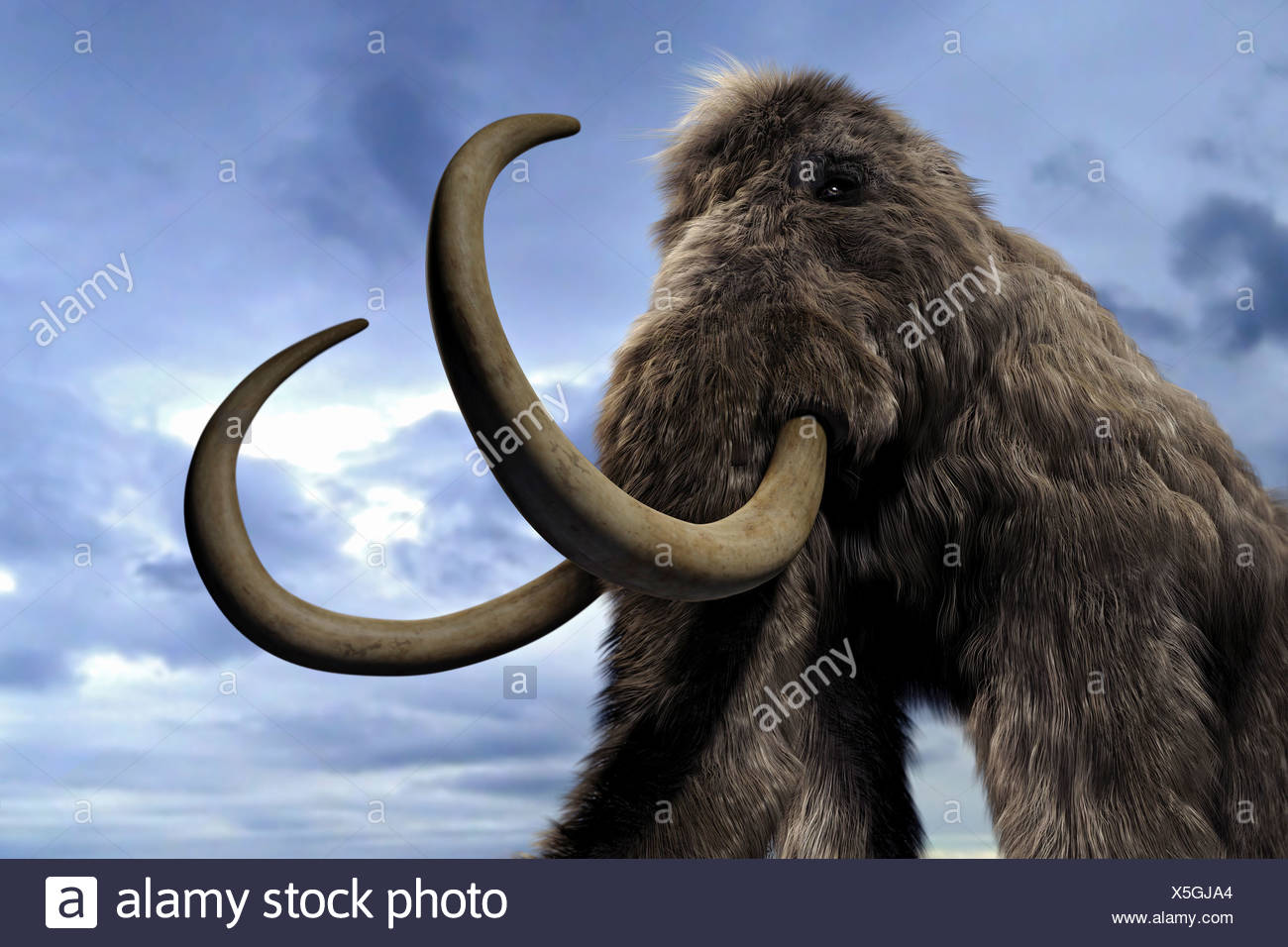 Mammoth High Resolution Stock Photography and Images - Alamy