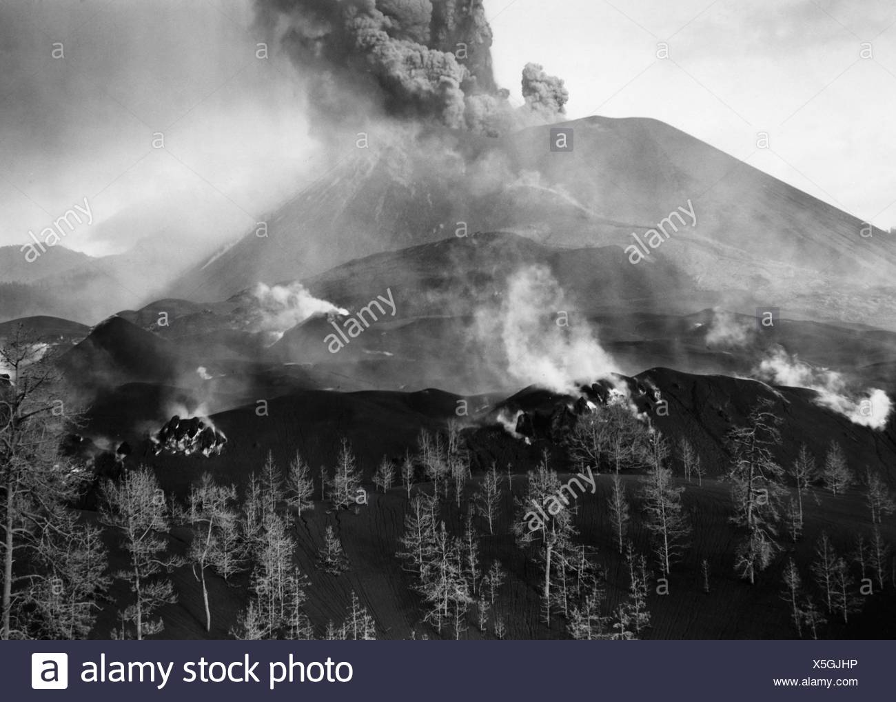 Paricutin Stock Photos & Paricutin Stock Images - Alamy