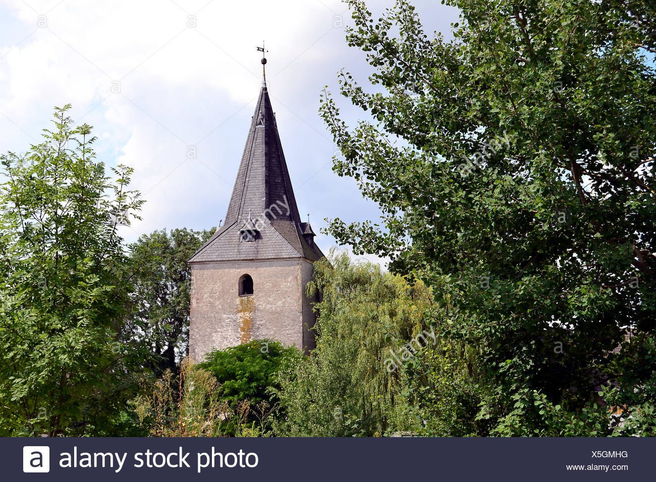 Wahle High Resolution Stock Photography and Images - Alamy