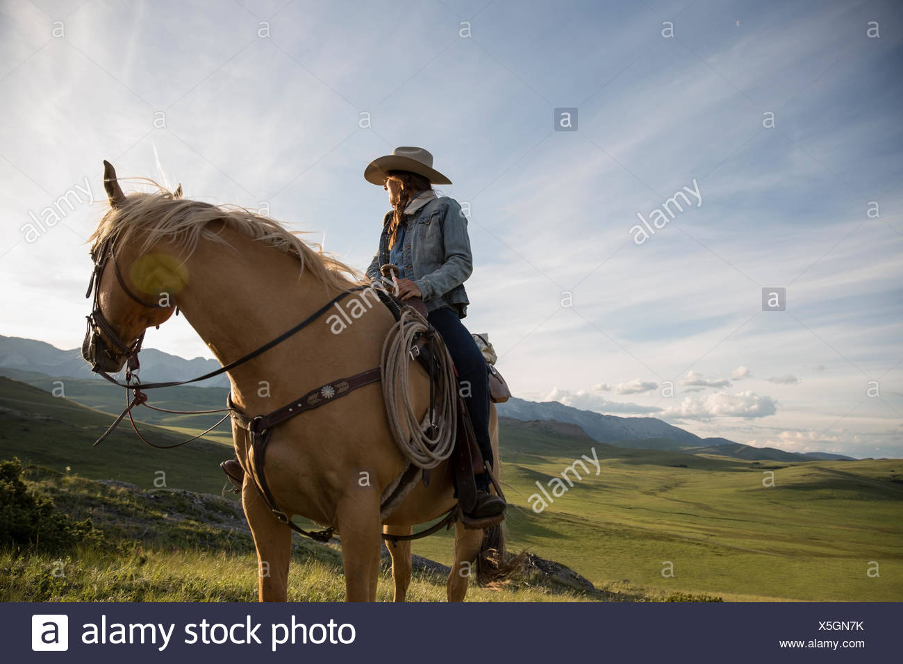 Woman Riding Horse Back Stock Photos & Woman Riding Horse Back Stock ...