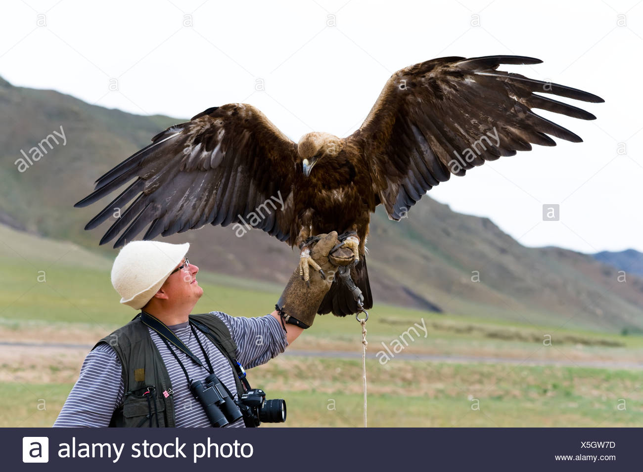 Golden Eagle Wings Spread High Resolution Stock Photography and Images ...