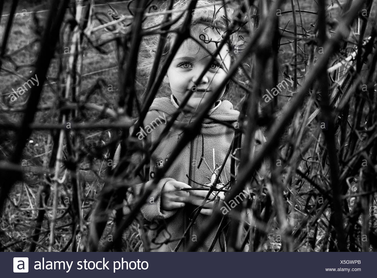 Bush Hiding High Resolution Stock Photography and Images - Alamy