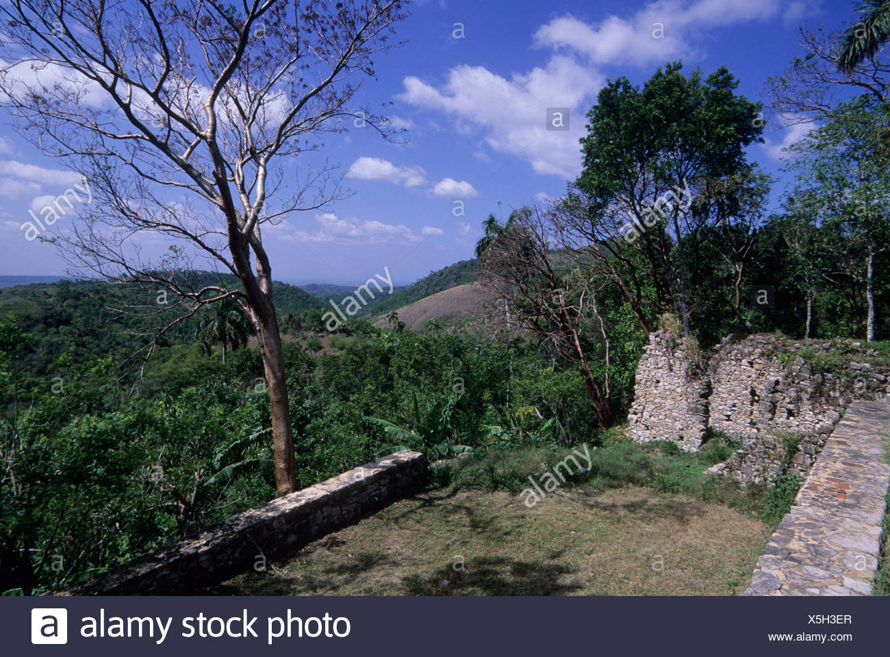 Buena Vista Unesco Biosphere Reserve High Resolution Stock Photography ...