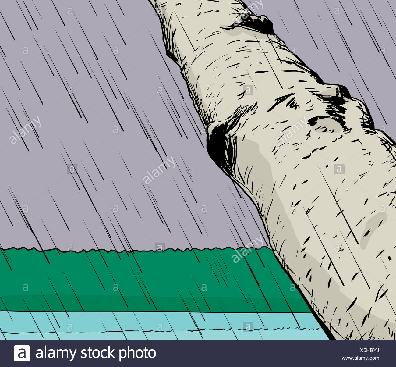Birch Forest Cartoon High Resolution Stock Photography and Images - Alamy
