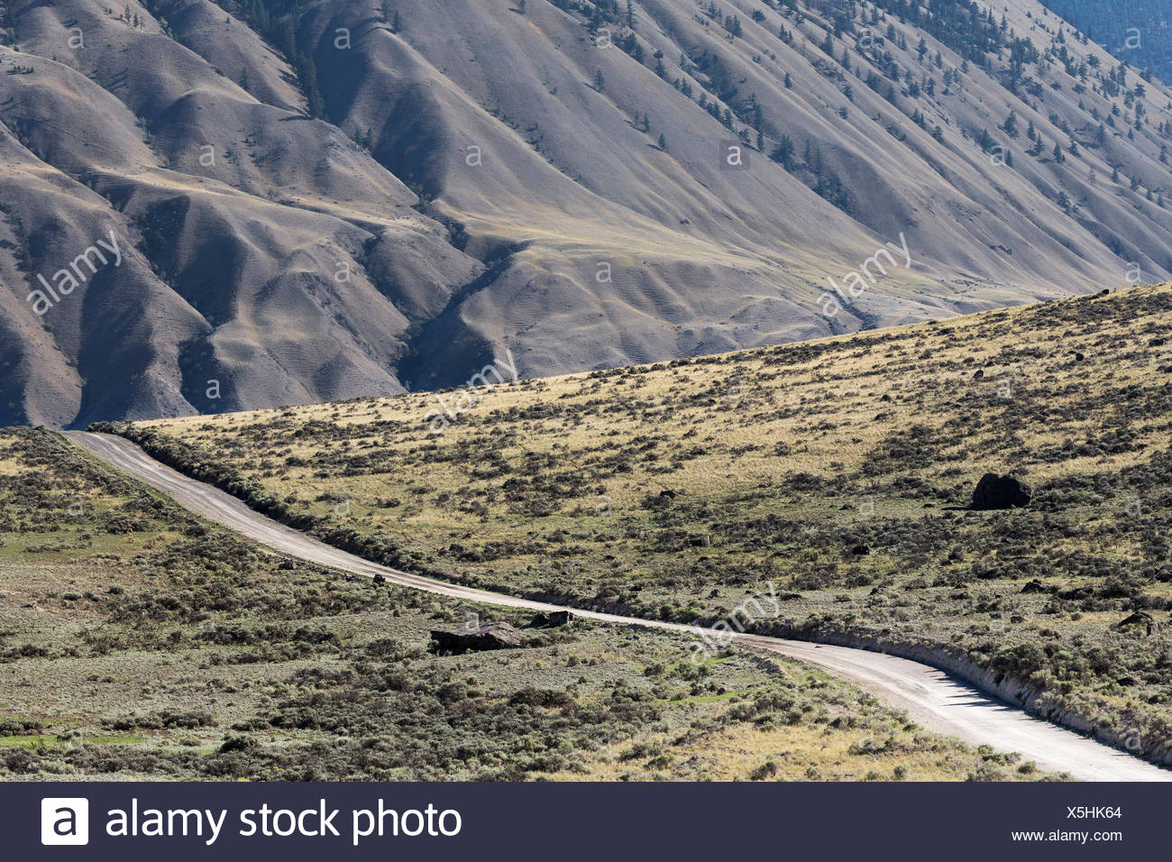 Back Country Road High Resolution Stock Photography and Images - Alamy