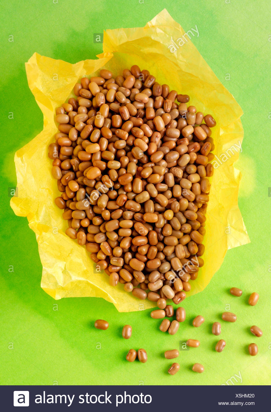 Moth Beans High Resolution Stock Photography and Images - Alamy