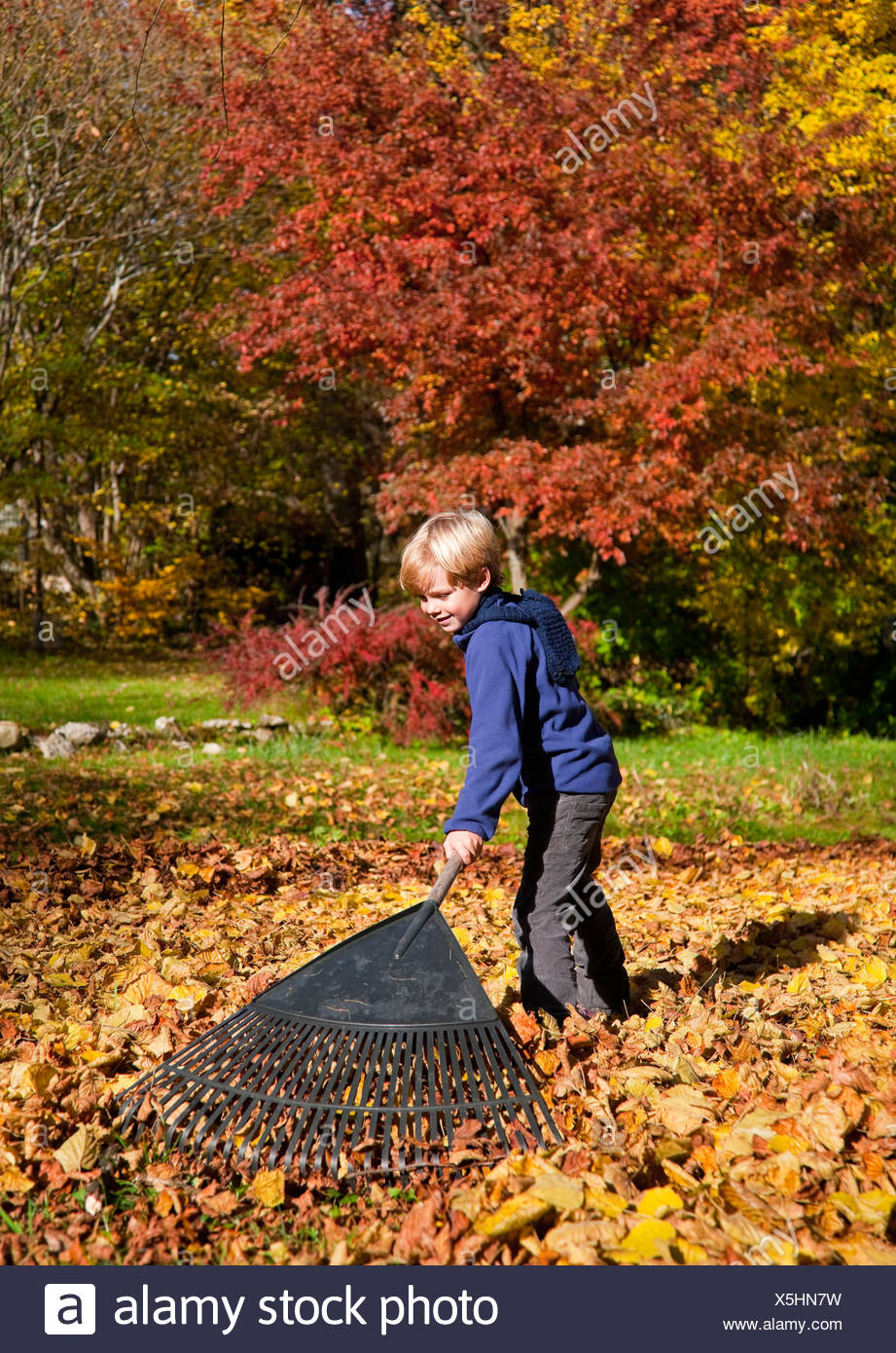 Children Raking Leaves High Resolution Stock Photography and Images - Alamy