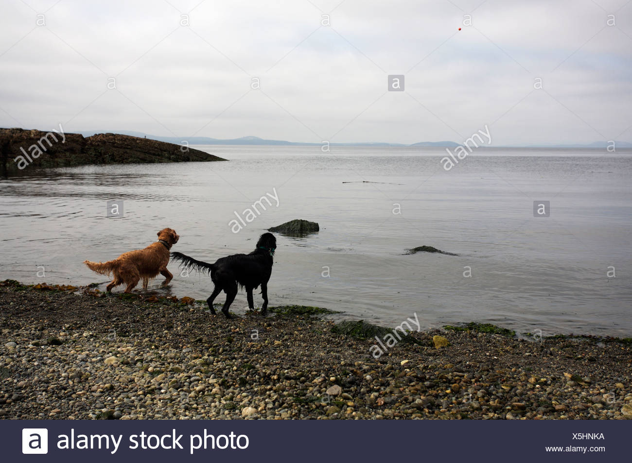 Finnerty High Resolution Stock Photography and Images - Alamy
