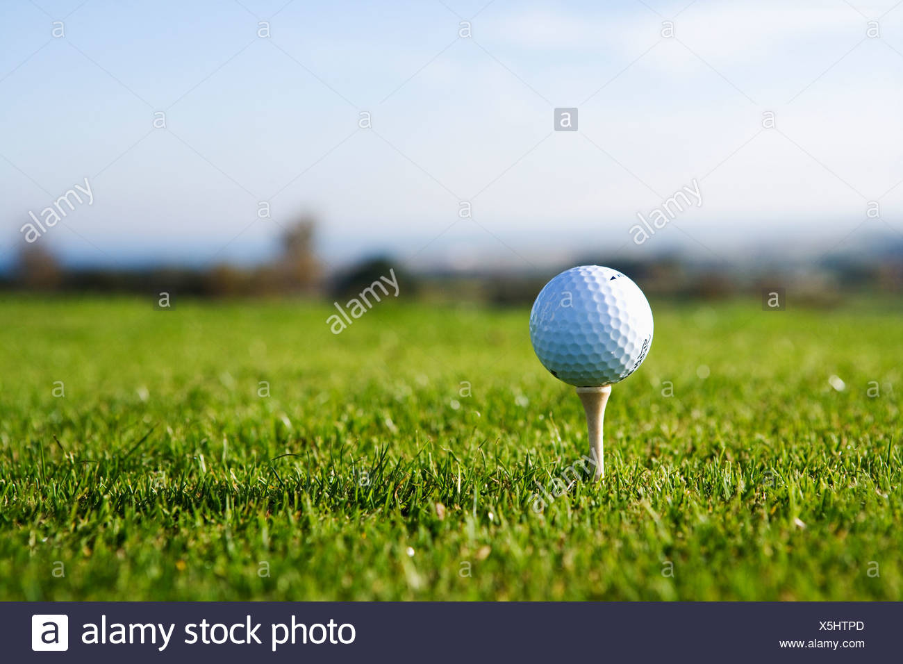 Golf Ball Tee Peg High Resolution Stock Photography and Images - Alamy