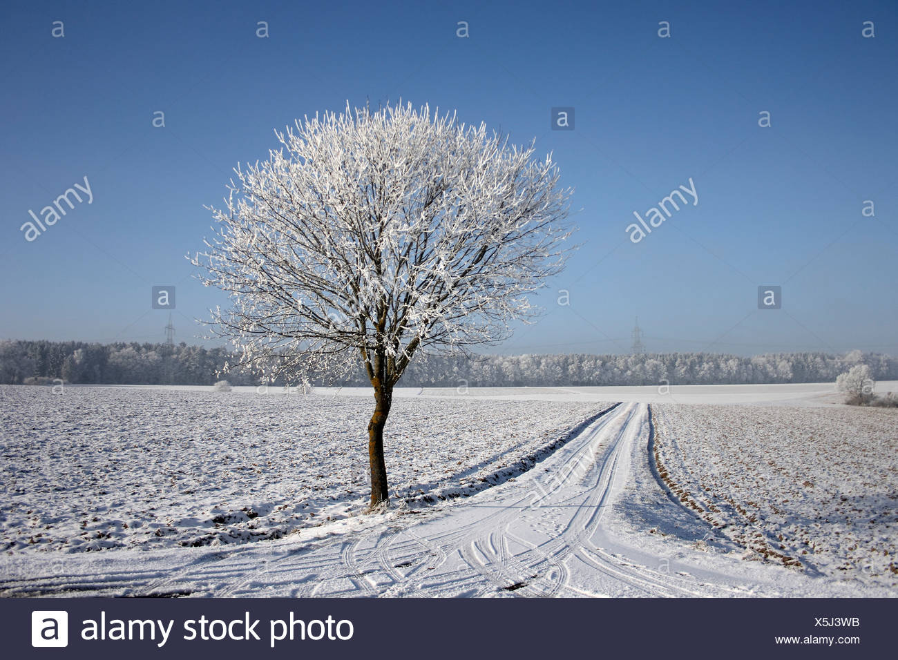 Atmospheric Picture High Resolution Stock Photography and Images - Alamy