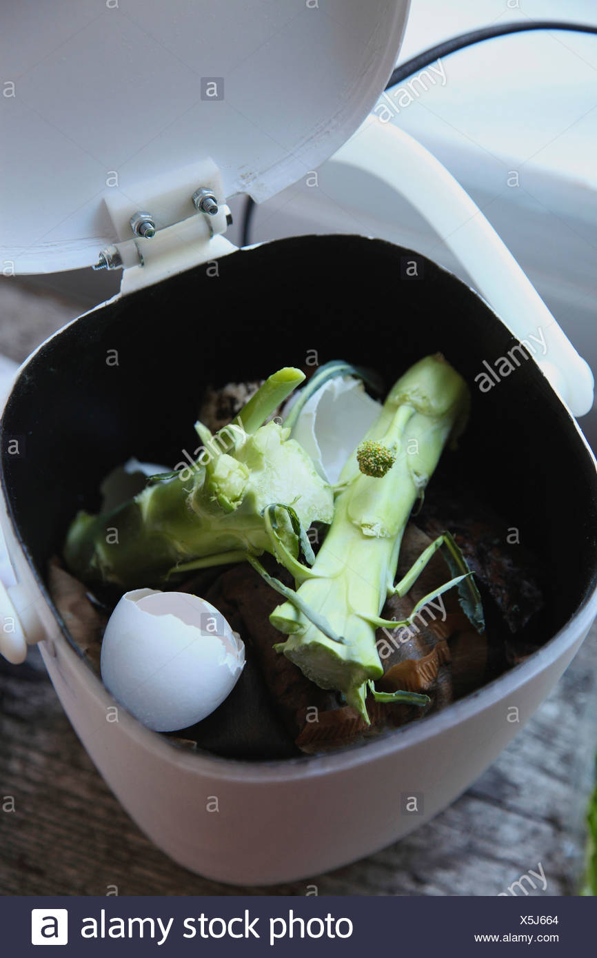 Remains Of Food Waste High Resolution Stock Photography and Images - Alamy